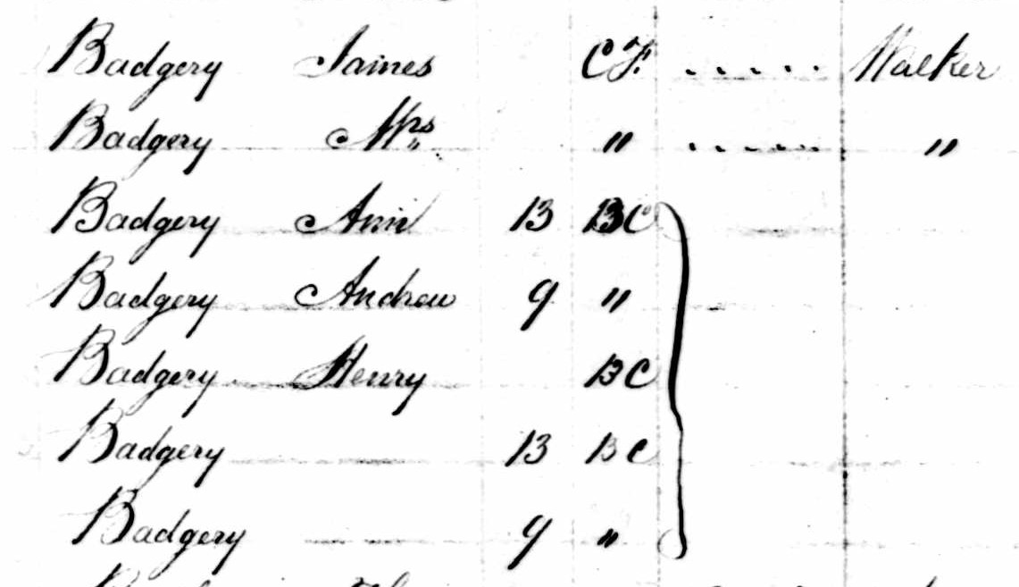 Badgery family - Araluen Valley History